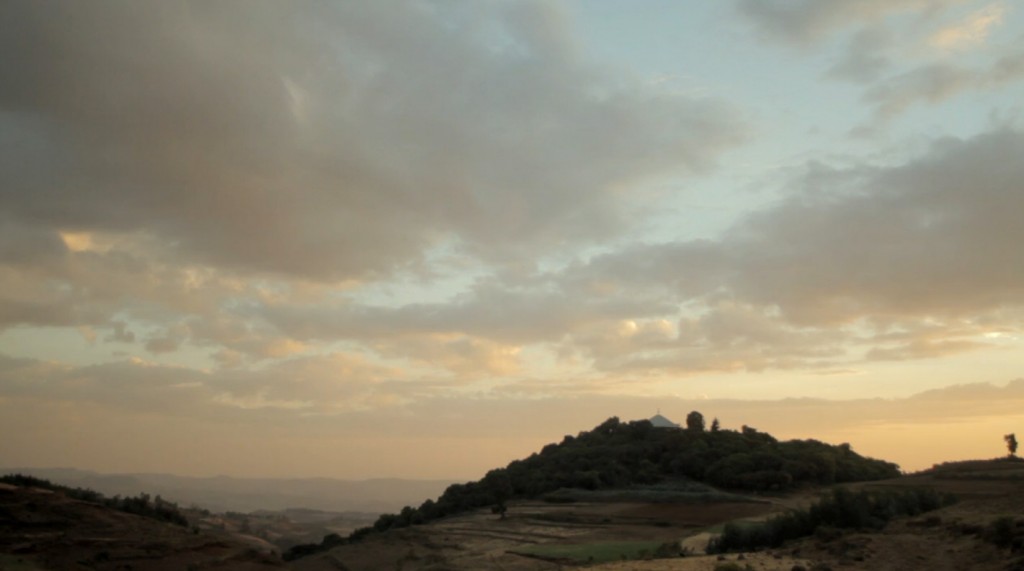 Church Forest documentary film to be released 2014 - TREE Foundation