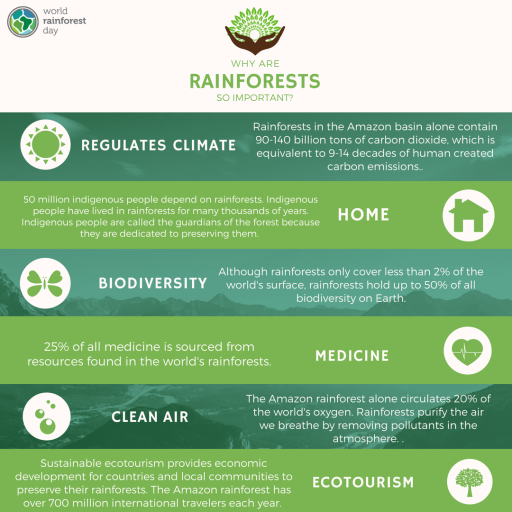 World Rainforest Day is June 22nd - TREE Foundation