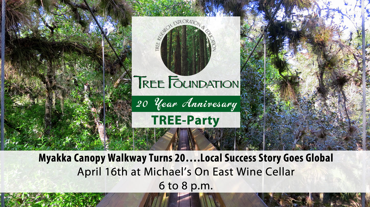 TREE Foundation - Conserving our planet's botanical resources and ...