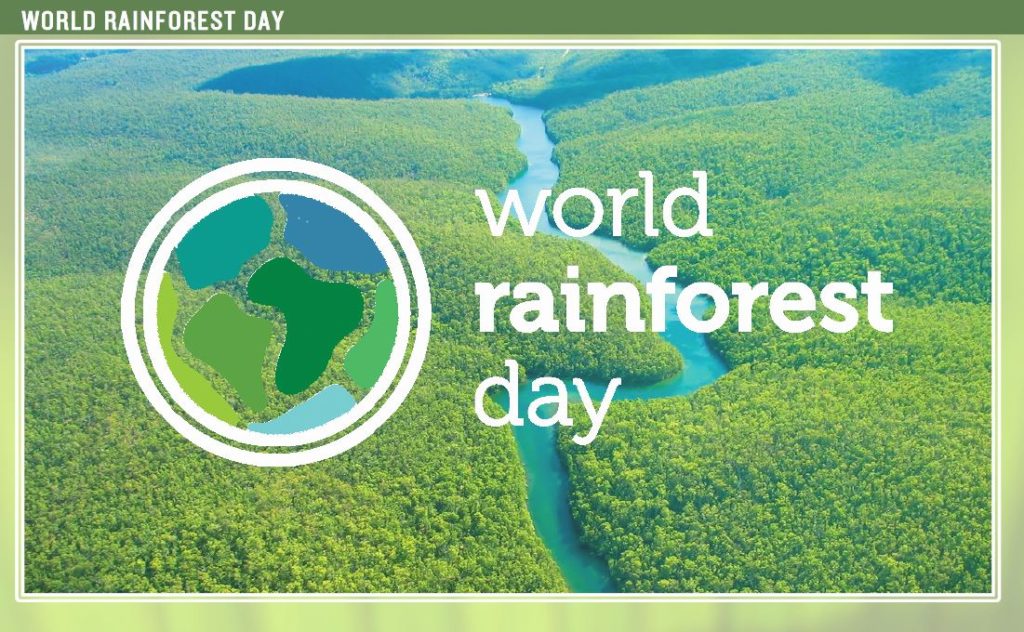 World Rainforest Day 2019 - TREE Foundation