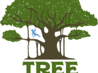 TREE Foundation - Conserving our planet's botanical resources and ...