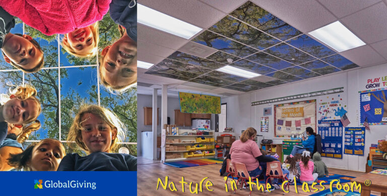 Nature In The Classroom Brings Trees into Learning Spaces - TREE Foundation