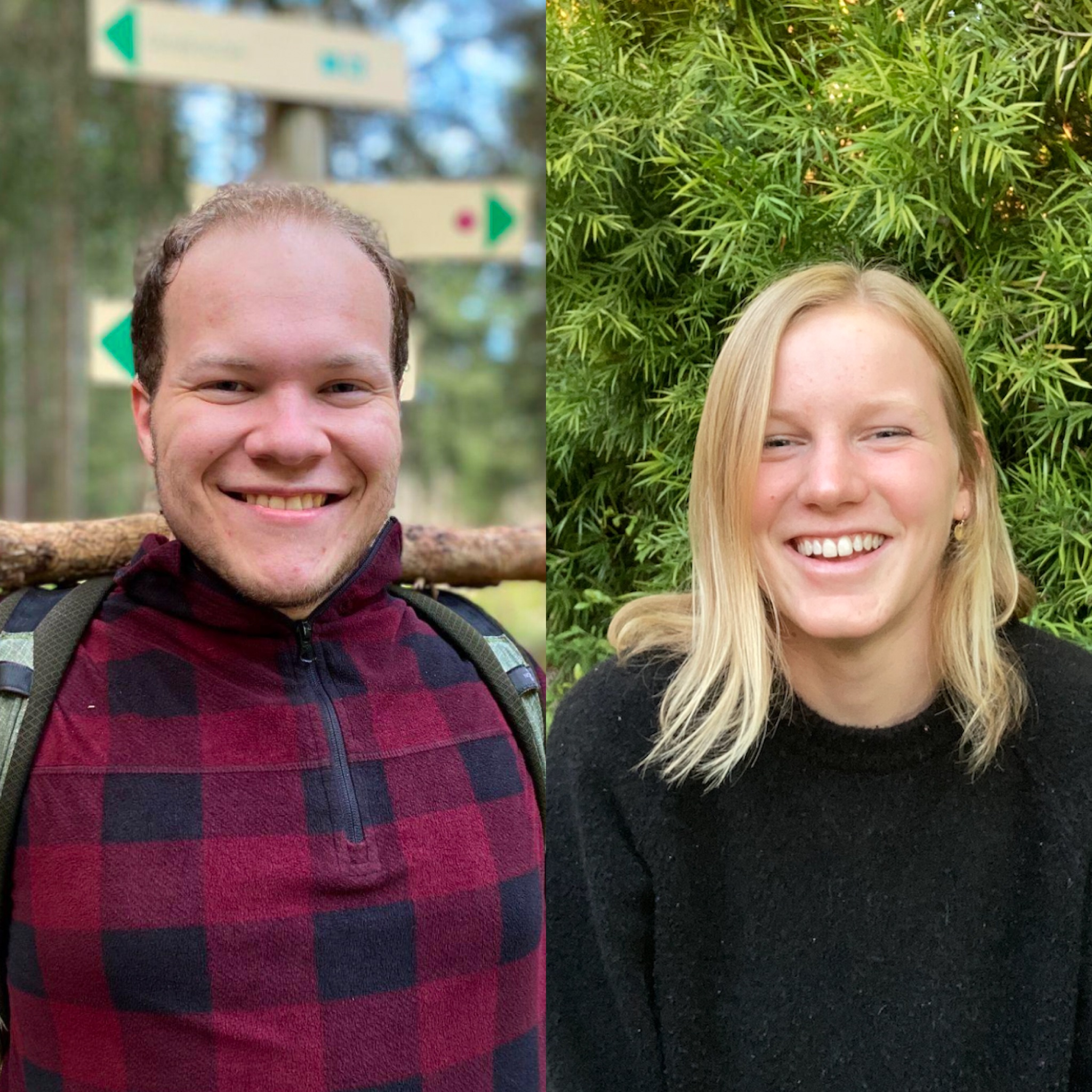 Introducing TREE Summer Interns! - TREE Foundation