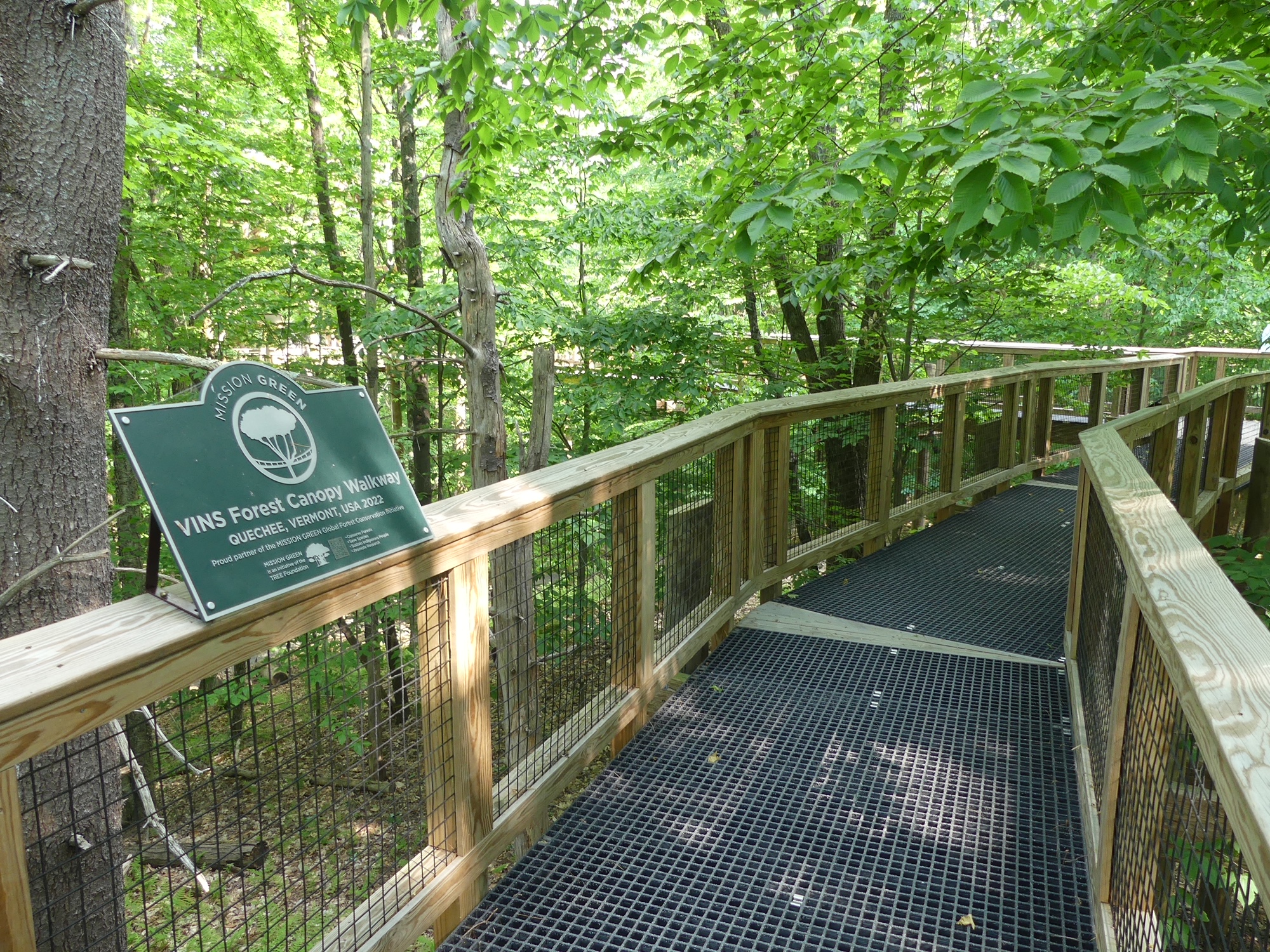 Vermont Canopy Walkway Installs First Mission Green Plaque - TREE ...