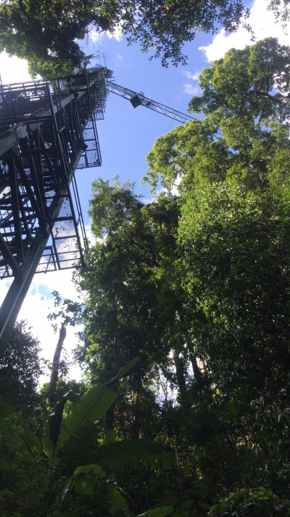 Conserving Forests, Empowering Women International Canopy Conference