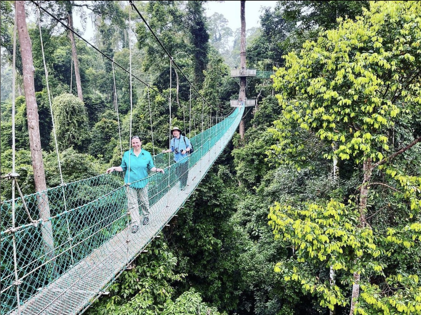 Canopy Walkways | Explore Global Forests
