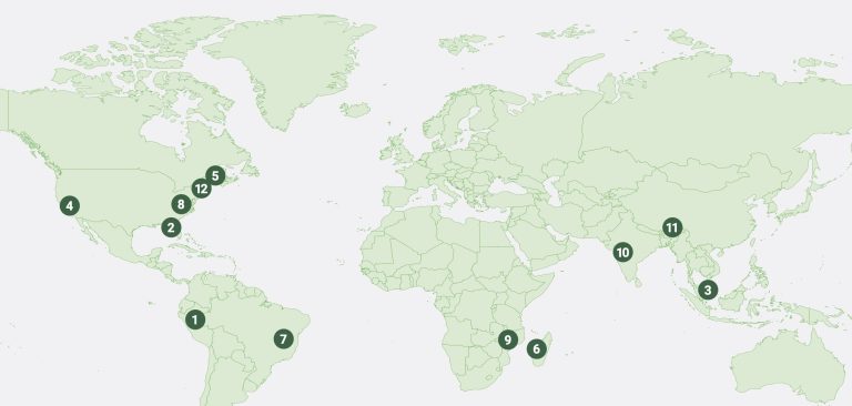 Canopy Walkways | Explore Global Forests