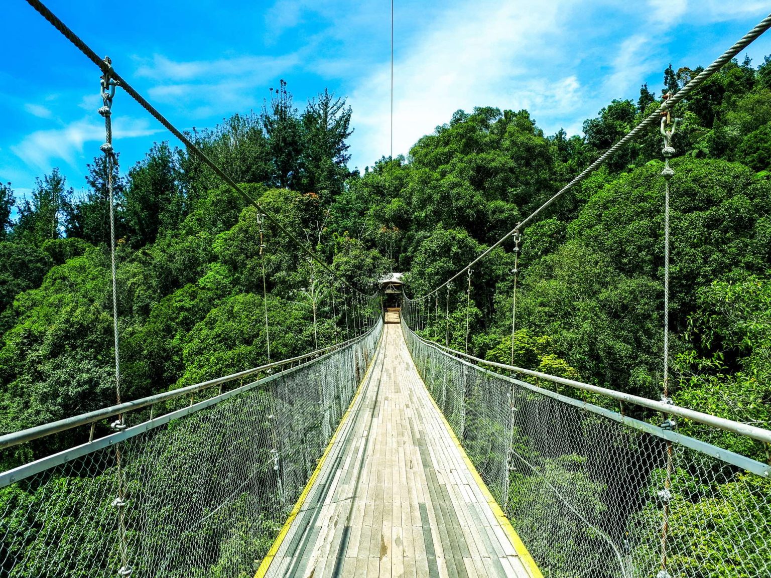 Walkway Resources - TREE Foundation