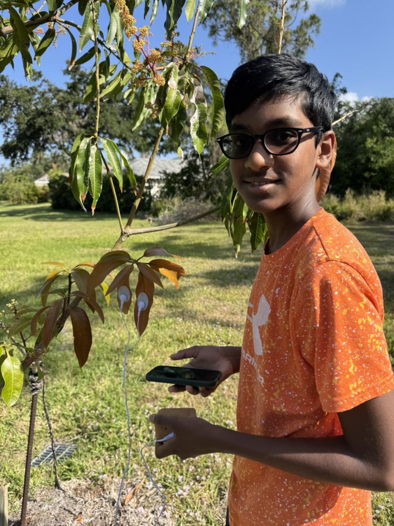 Exploring Plant Bioactivity With PlantWave - TREE Foundation